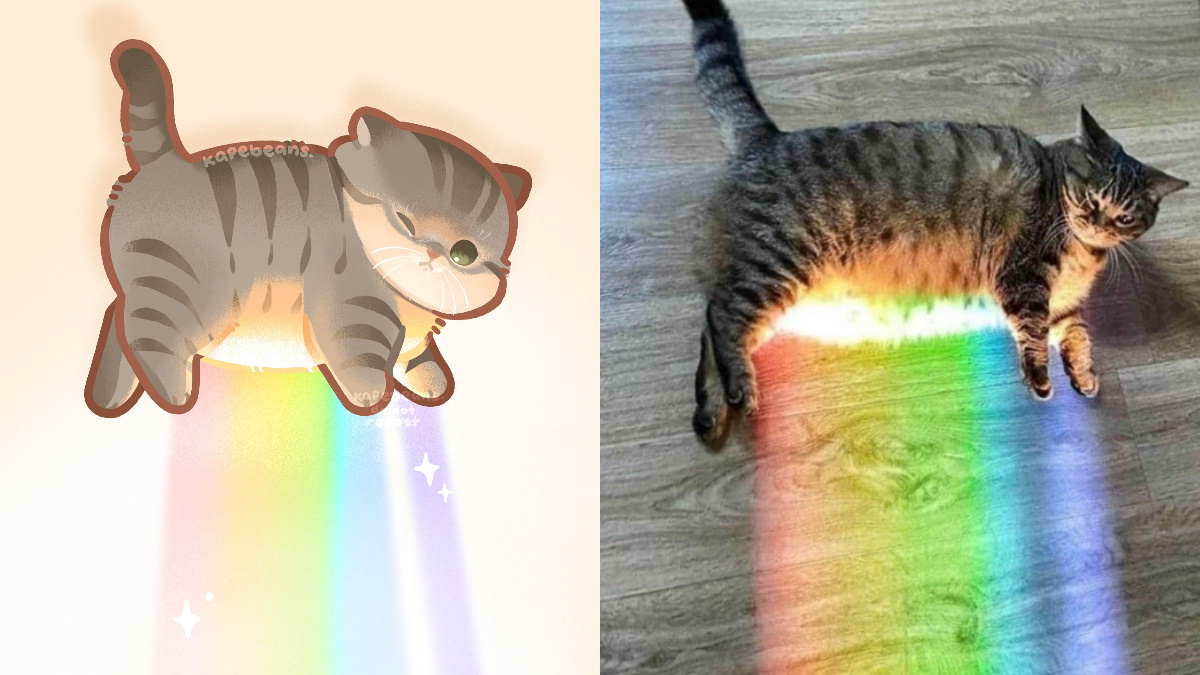 Artist Redraws Adorable Pictures of Lovable Animals