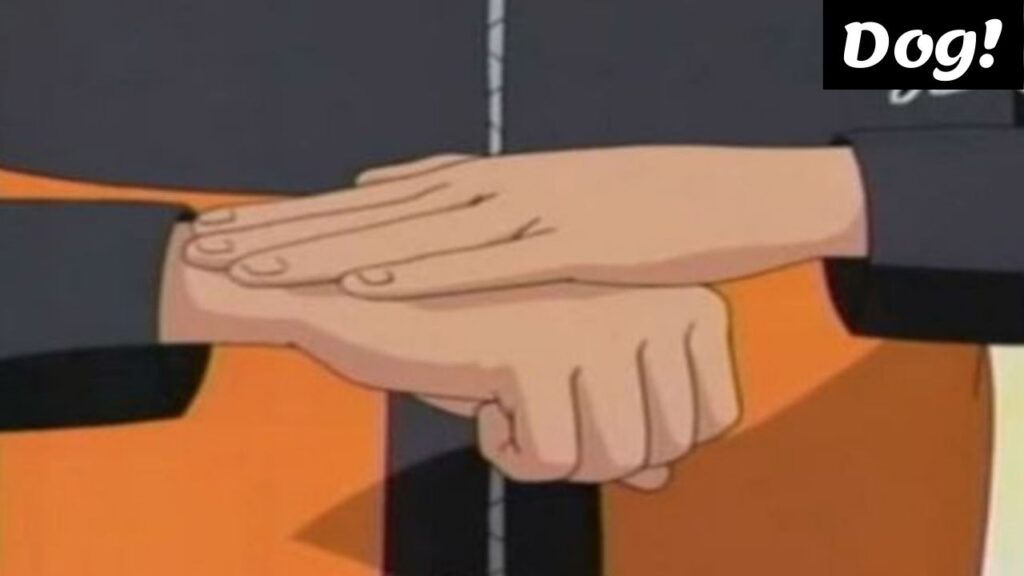 All Naruto Handsigns Explained | The Mary Sue