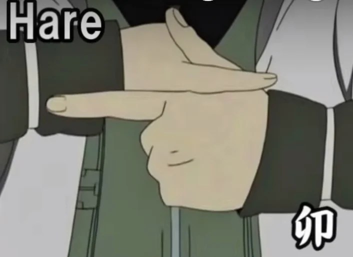 All Naruto Handsigns Explained | The Mary Sue