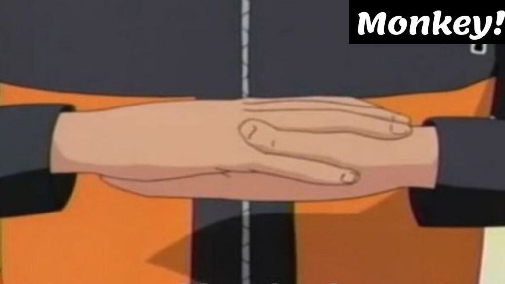 All Naruto Handsigns Explained | The Mary Sue