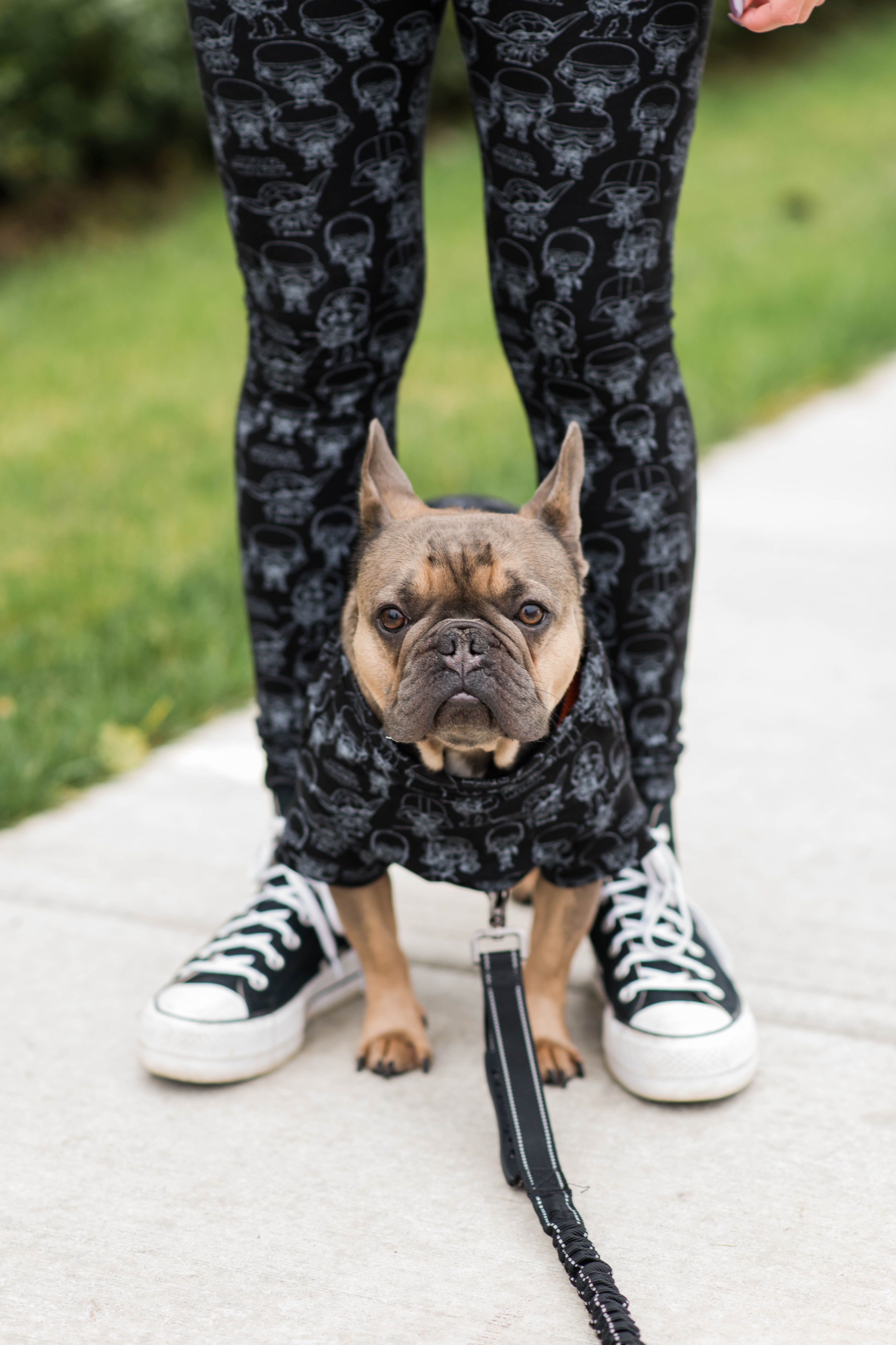 Smash + Tess Is Bringing the Comfort of the Galaxy Far Far Away to Your ...