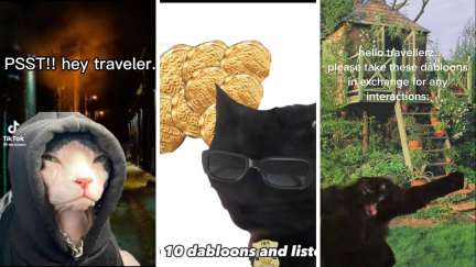 What Are TikTok Dabloons and Why Is a Cat Involved? | The Mary Sue