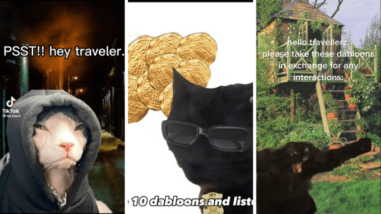 What Are TikTok Dabloons and Why Is a Cat Involved? | The Mary Sue