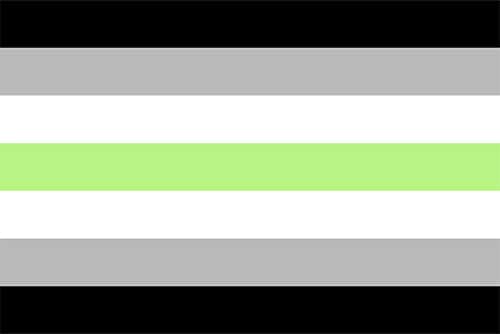 All LGBTQ Pride Flags Listed and Explained | The Mary Sue