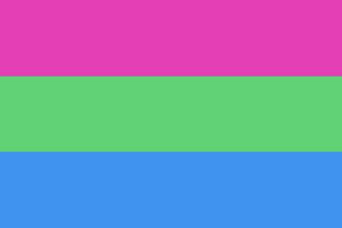 All LGBTQ Pride Flags Listed and Explained | The Mary Sue