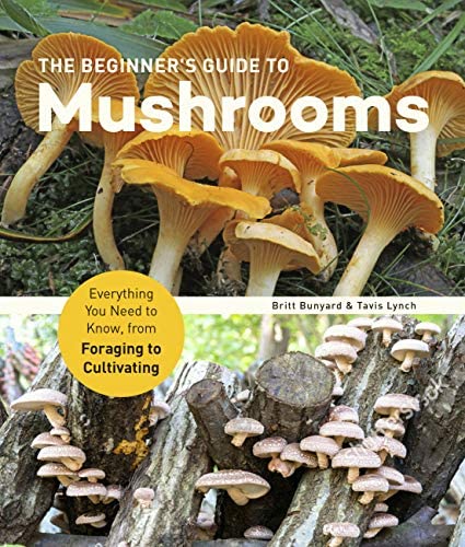 If 'The Last of Us' Has Made You a Mushroom Nerd, Here are the Best ...