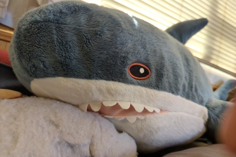 IKEA Canada Releases Blåhaj Shark in Trans Colors | The Mary Sue