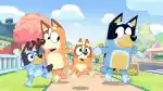Who Voices Bluey And Bingo? Answered | The Mary Sue