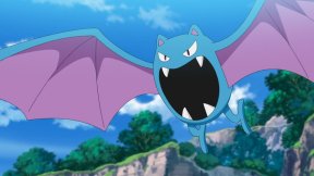 10 Bat Pokémon, Ranked By Cuteness | The Mary Sue