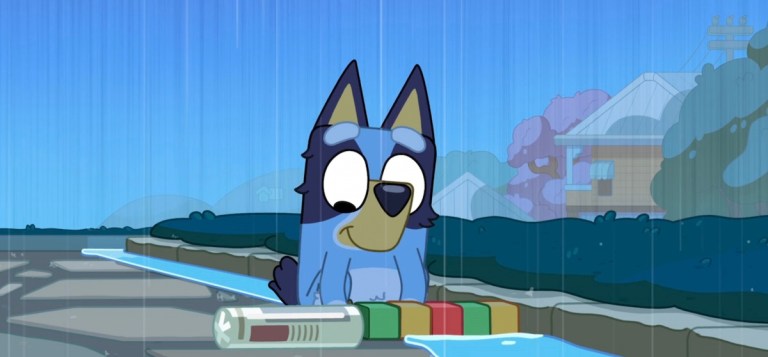 The 15 Best 'Bluey' Episodes, Ranked | The Mary Sue