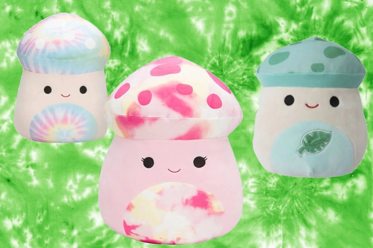 All Mushroom Squishmallows Ranked | The Mary Sue