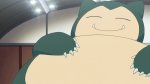 Best Bear Pokémon, Ranked | The Mary Sue