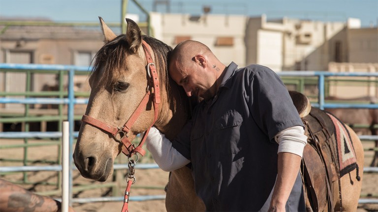 'Mustang' Movie on Netflix: Wild Horses and Inmate Rehabilitation | The ...