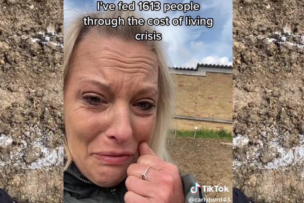 Carly Burd's Allotment Garden Destroyed & Salted | The Mary Sue