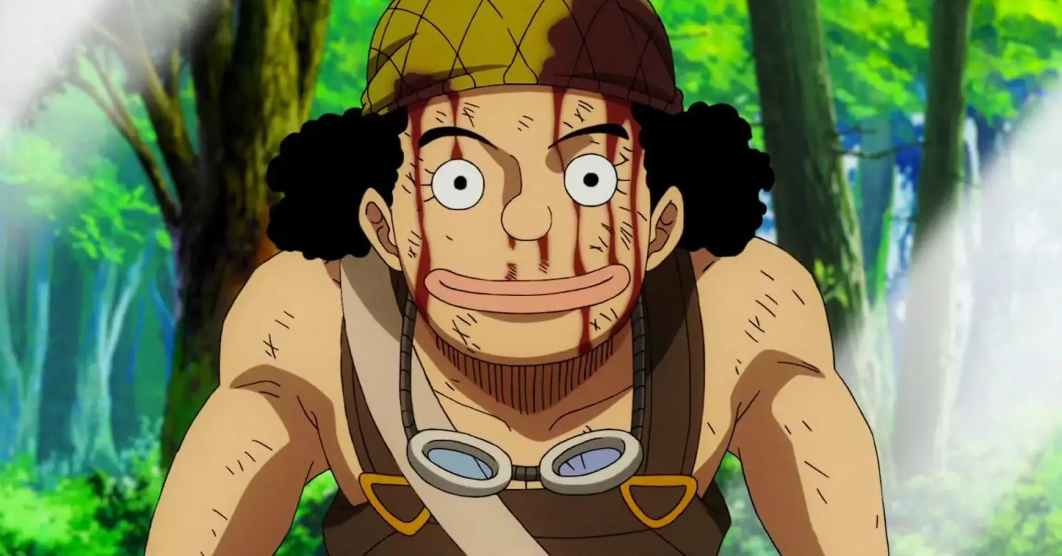 All 'One Piece' Nationalities, Explained | The Mary Sue
