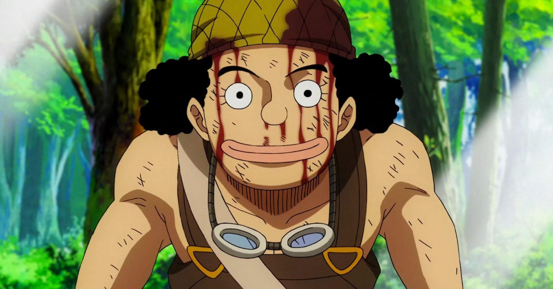 'One Piece': All Straw Hats That Left the Crew | The Mary Sue
