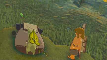 An Ode to Our Tears of the Kingdom Korok Friends | The Mary Sue