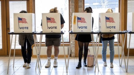 Ranked Choice Voting Explained | The Mary Sue