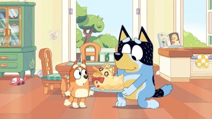 The 15 Best 'Bluey' Episodes, Ranked | The Mary Sue
