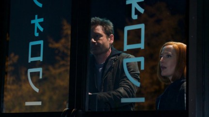 Best 'X-Files' Episodes, Ranked | The Mary Sue