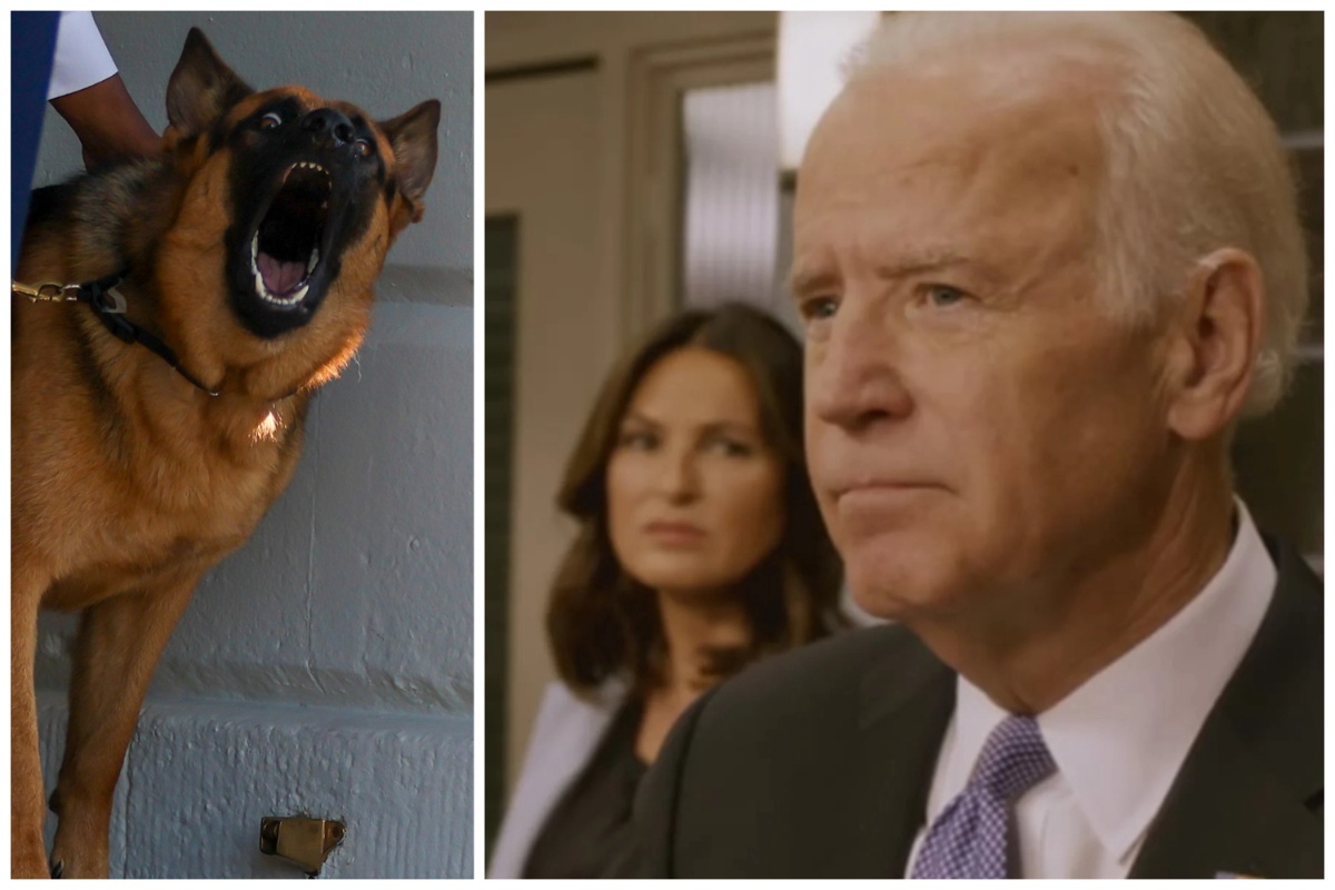 Commander, a Very Good Boy, Lost His Battle With ACAB | The Mary Sue