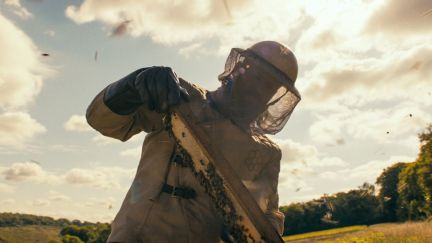 'The Beekeeper' Release Date, Trailer, Cast, Plot, and More
