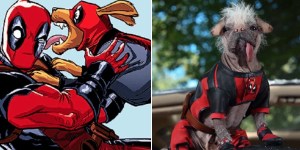 Ryan Reynolds Confirms Dogpool Is Entering the MCU in 'Deadpool 3 ...
