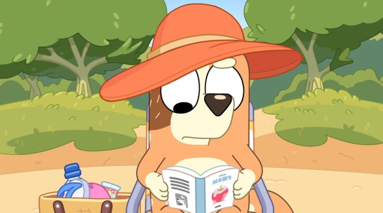 What's A Long Dog In Bluey? Explained | The Mary Sue