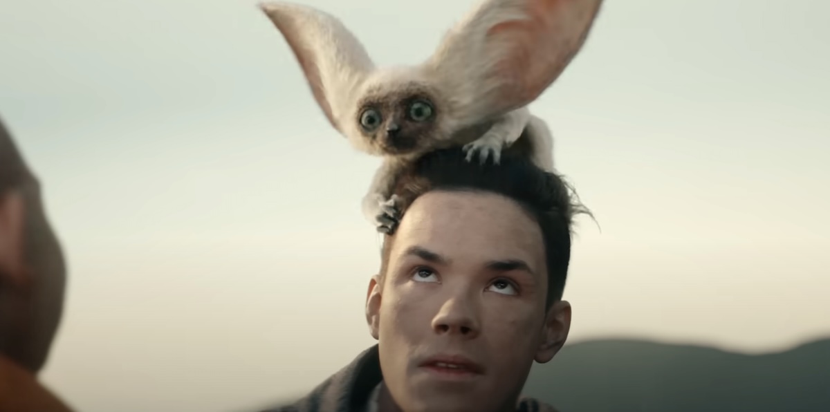 Momo From Avatar: The Last Airbender Explained | The Mary Sue