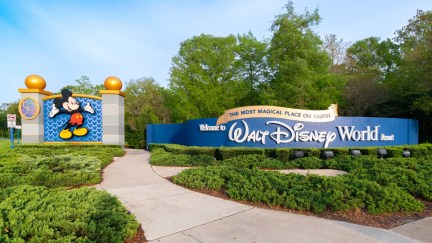 Disney World Disability Access Changes Explained | The Mary Sue