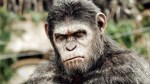 Who Plays Caesar In Planet Of The Apes? Answered | The Mary Sue