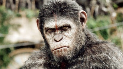 Who Plays Caesar In Planet Of The Apes? Answered | The Mary Sue