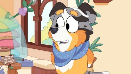 All 'Bluey' Dog Breeds Confirmed | The Mary Sue