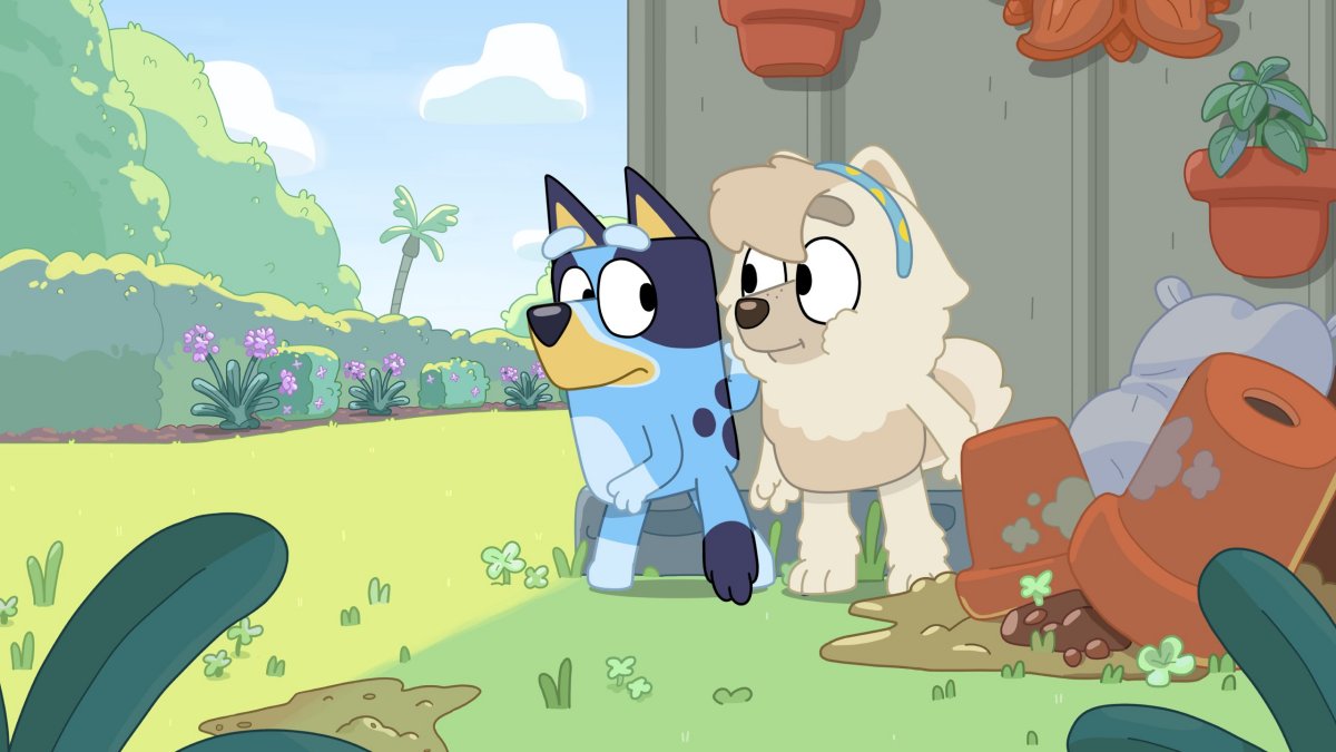 All 'Bluey' Dog Breeds Confirmed | The Mary Sue