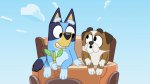 All 'Bluey' Dog Breeds Confirmed | The Mary Sue