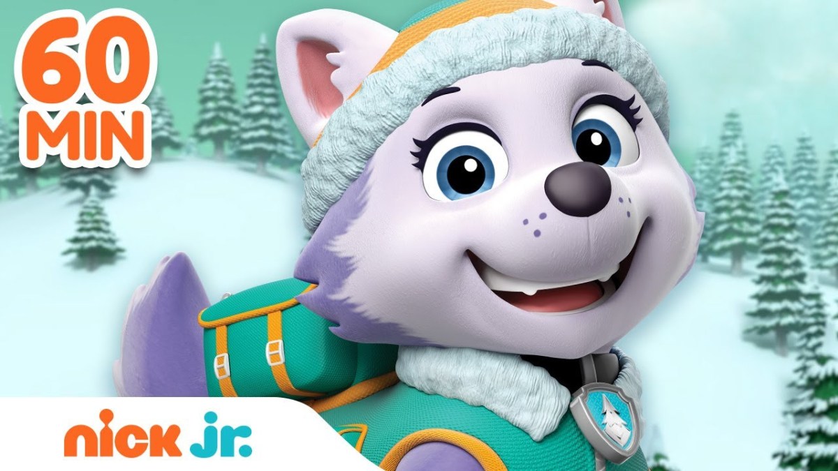 All 'PAW Patrol' Dogs Confirmed | The Mary Sue