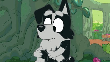 All 'Bluey' Dog Breeds Confirmed | The Mary Sue