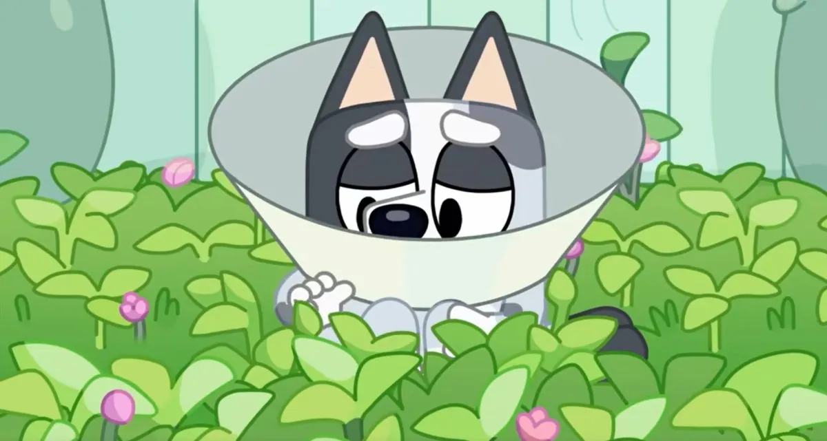 10 Best Bluey Episodes With Muffin, Ranked | The Mary Sue