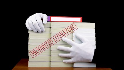 Utah Emulates ‘Fahrenheit 451’ With Statewide Book Bans and Calls for ...