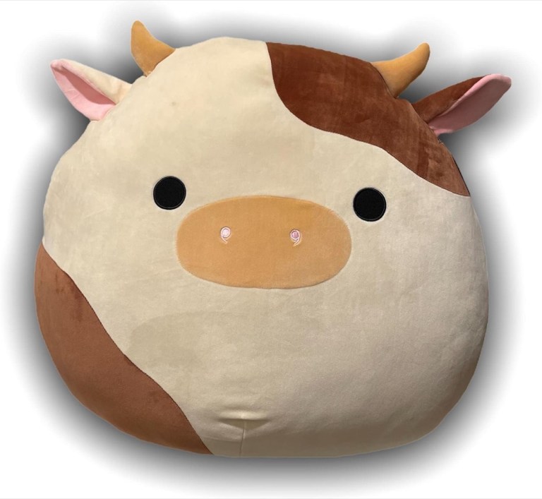 13 of the Most Giant Squishmallows in the World Right Now | The Mary Sue