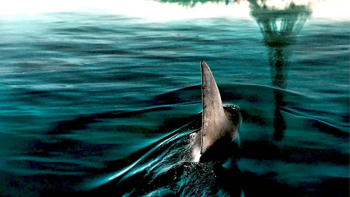 'Under Paris' Ending Explained | The Mary Sue