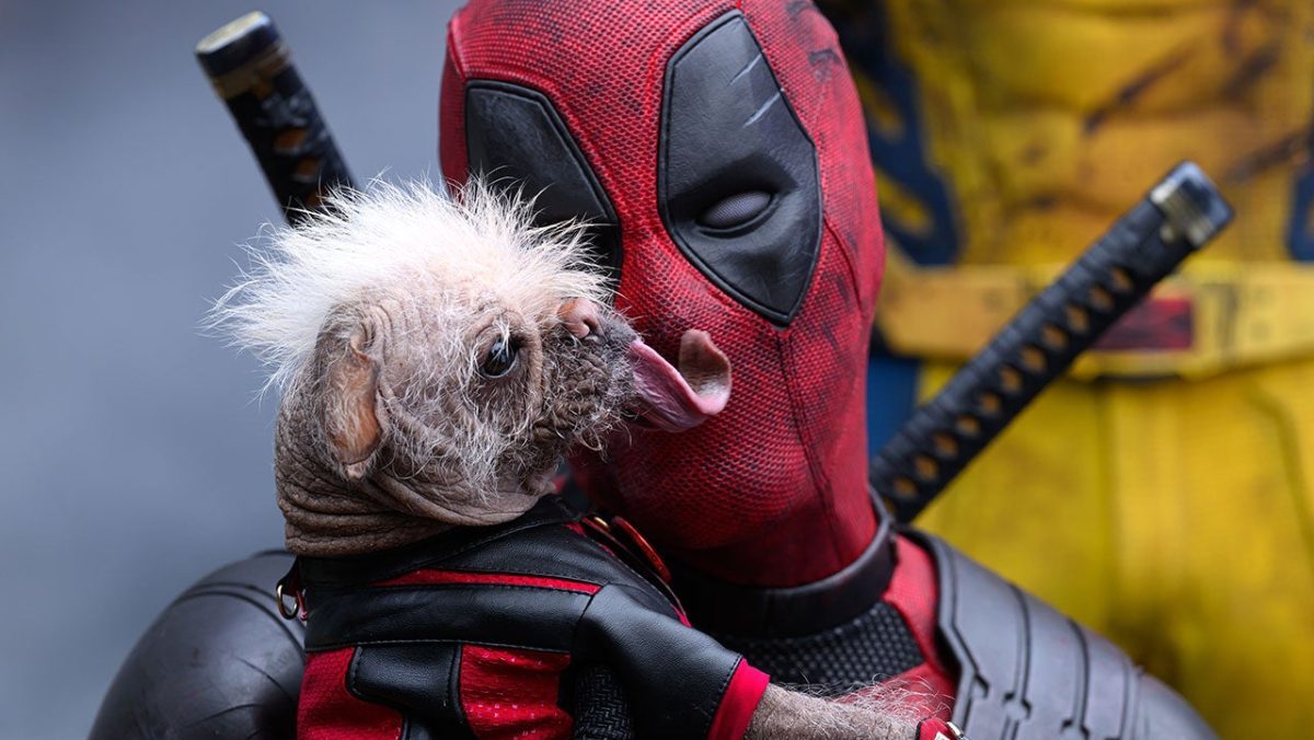 All Deadpool & Wolverine Easter Eggs Explained | The Mary Sue