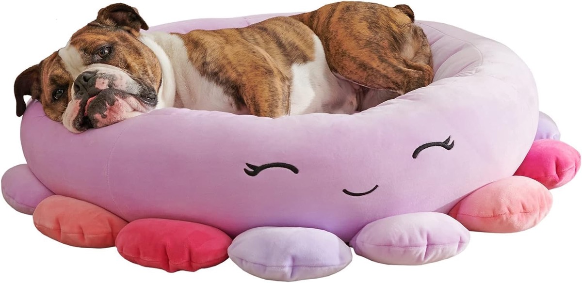 The 12 cutest Squishmallow pet beds that make the perfect gift | The ...