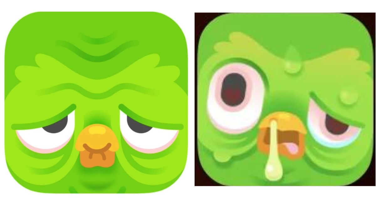 What happened to the Duolingo icon? Explained | The Mary Sue