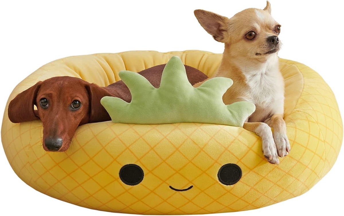 The 12 cutest Squishmallow pet beds that make the perfect gift | The ...