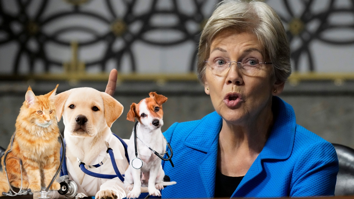 Elizabeth Warren Is Here to Save Our Pets! | The Mary Sue