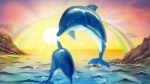 Symphony Dolphin meme, explained | The Mary Sue