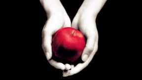 All 'Twilight' books ranked from worst to best | The Mary Sue