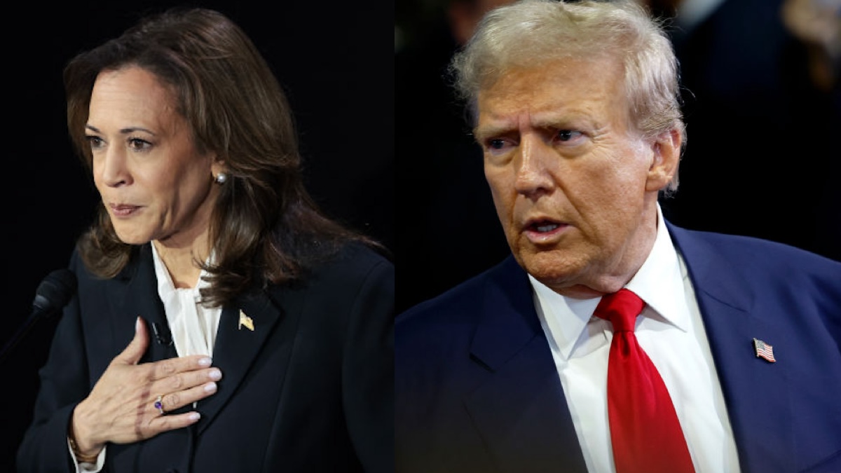 Did Donald Trump sell chips to China? | The Mary Sue