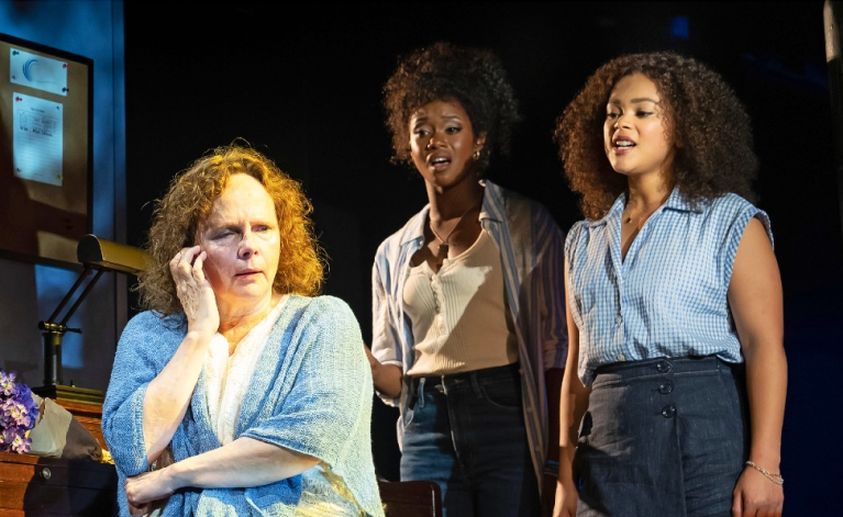 Guide to 'The Notebook' Broadway tickets 2024 including cheapest prices ...